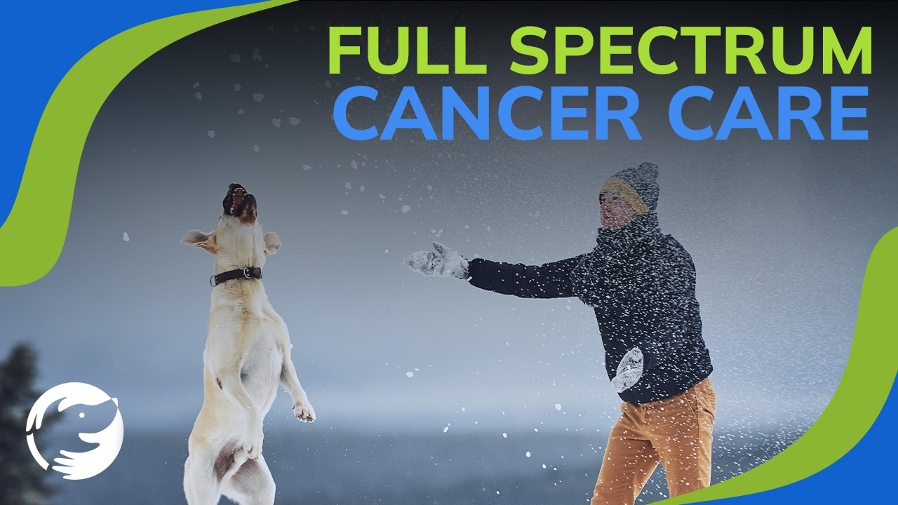 The Full Spectrum Approach to Dog Cancer Care