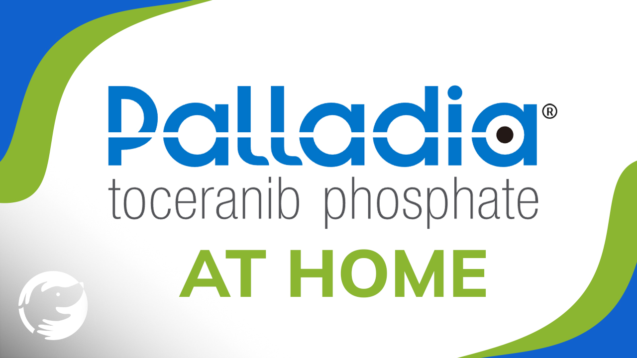 Palladia - What You Need to Know