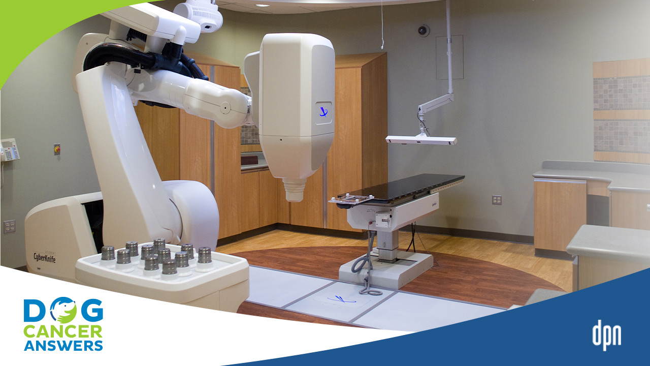 Cyberknife for Dog Cancer - DogCancer.com