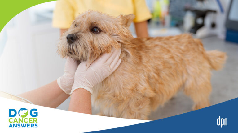 Mustargen for Dogs (Mechlorethamine)