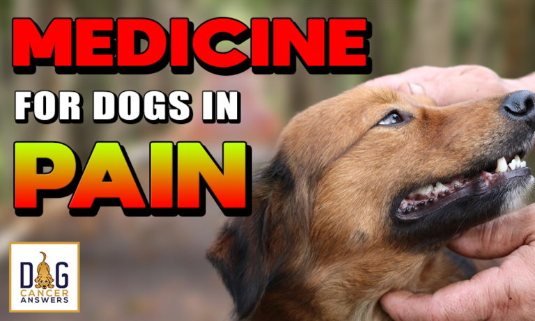 Pain Management PLUS: Natural Pain Relief for Dogs