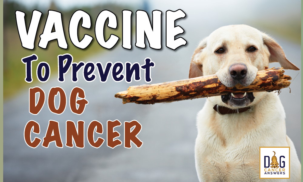 Dog Cancer Research: About Clinical Trials for Dog Cancer