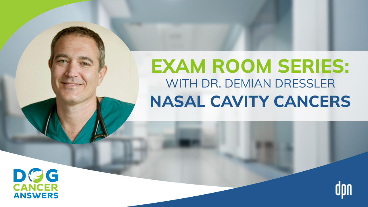 Exam Room Series: Nasal Cavity Cancers