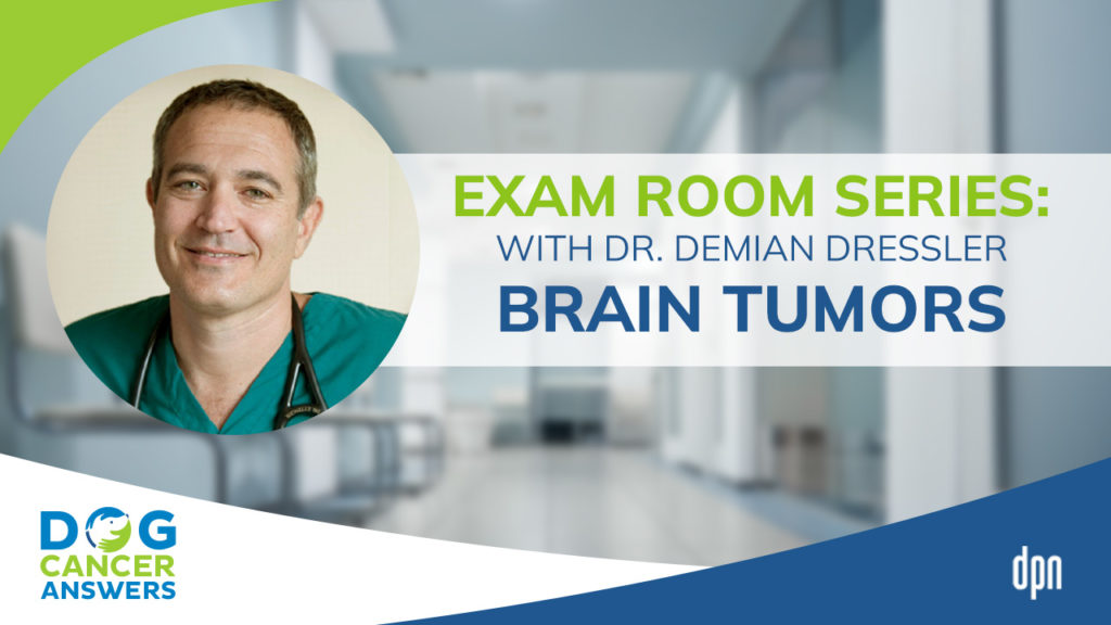 Brain Tumors in Dogs