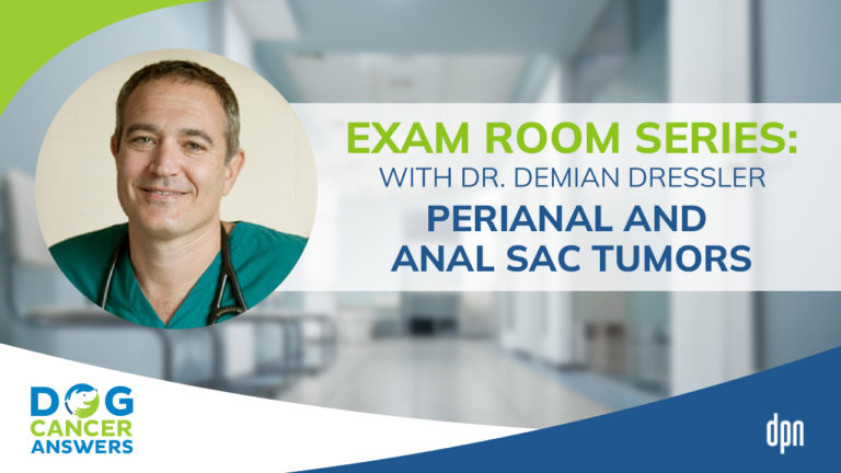 What to Know About Perianal & Anal Sac Tumors