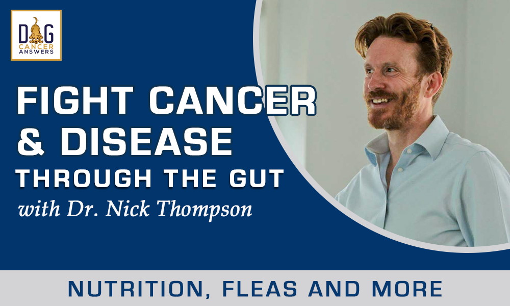 Fight Cancer & Disease Through the Gut – Nutrition, Fleas and More | Dr ...