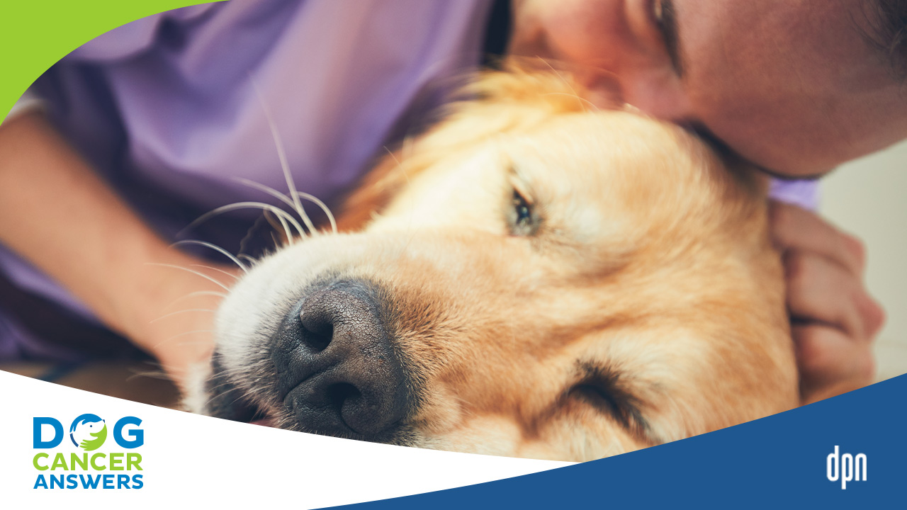 What Are Signs Of A Dog Dying