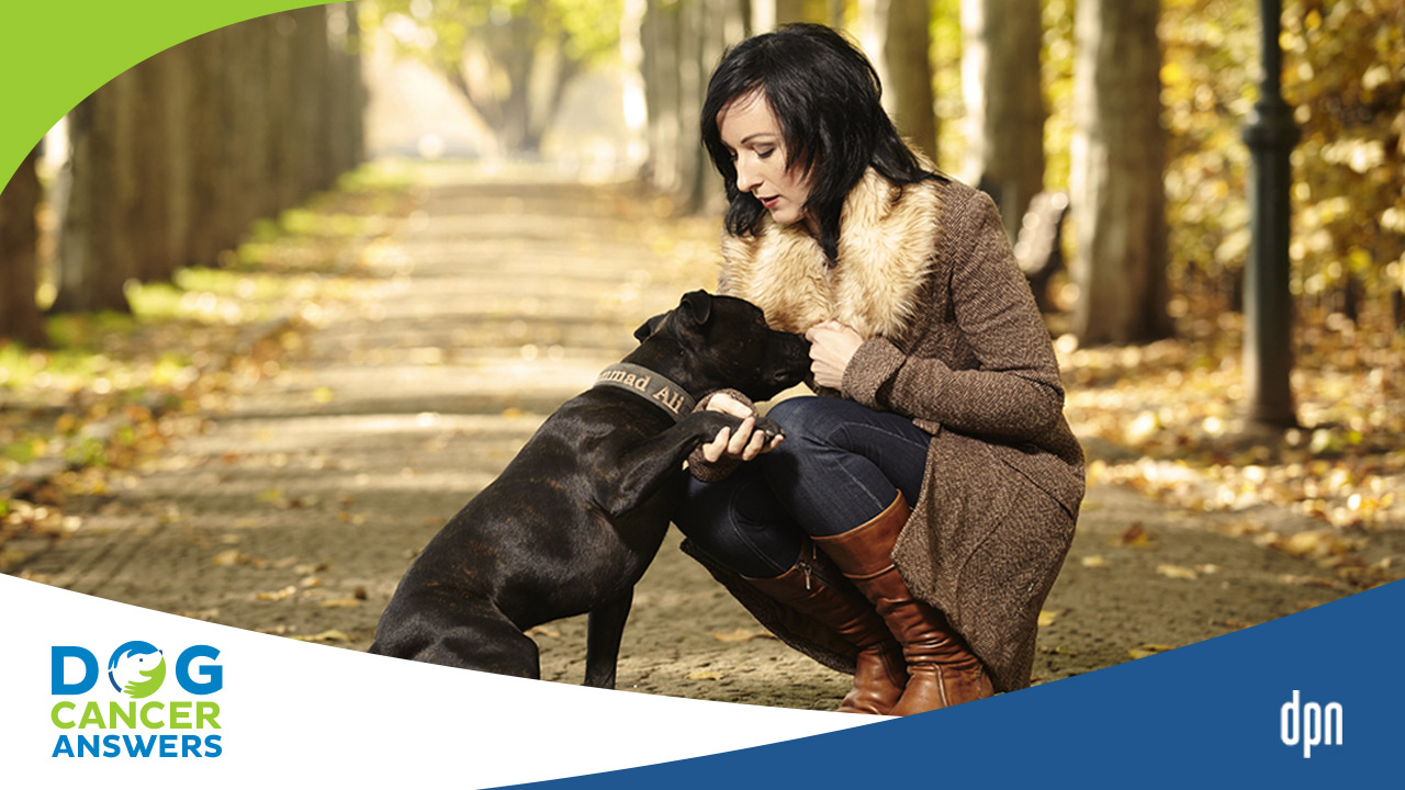 Super Aggressive Dog Prostate Cancer