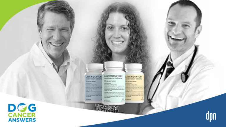 Laverdia-CA1 for Dogs (Verdinexor)