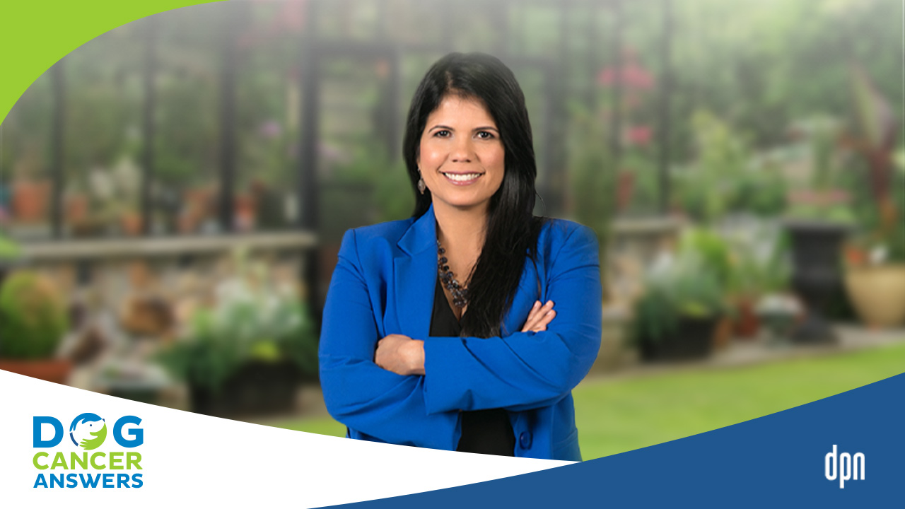 Integrative Medicine: One Veterinarian’s Destiny | Dr. Mitsie Vargas