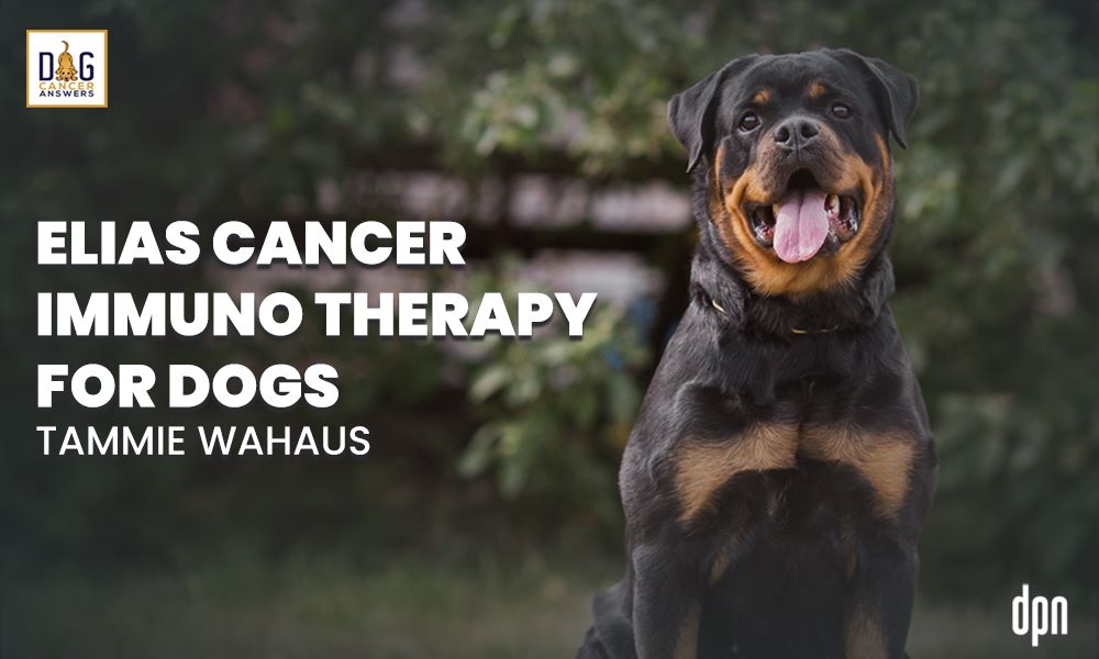 The Dog's Immune System and Cancer