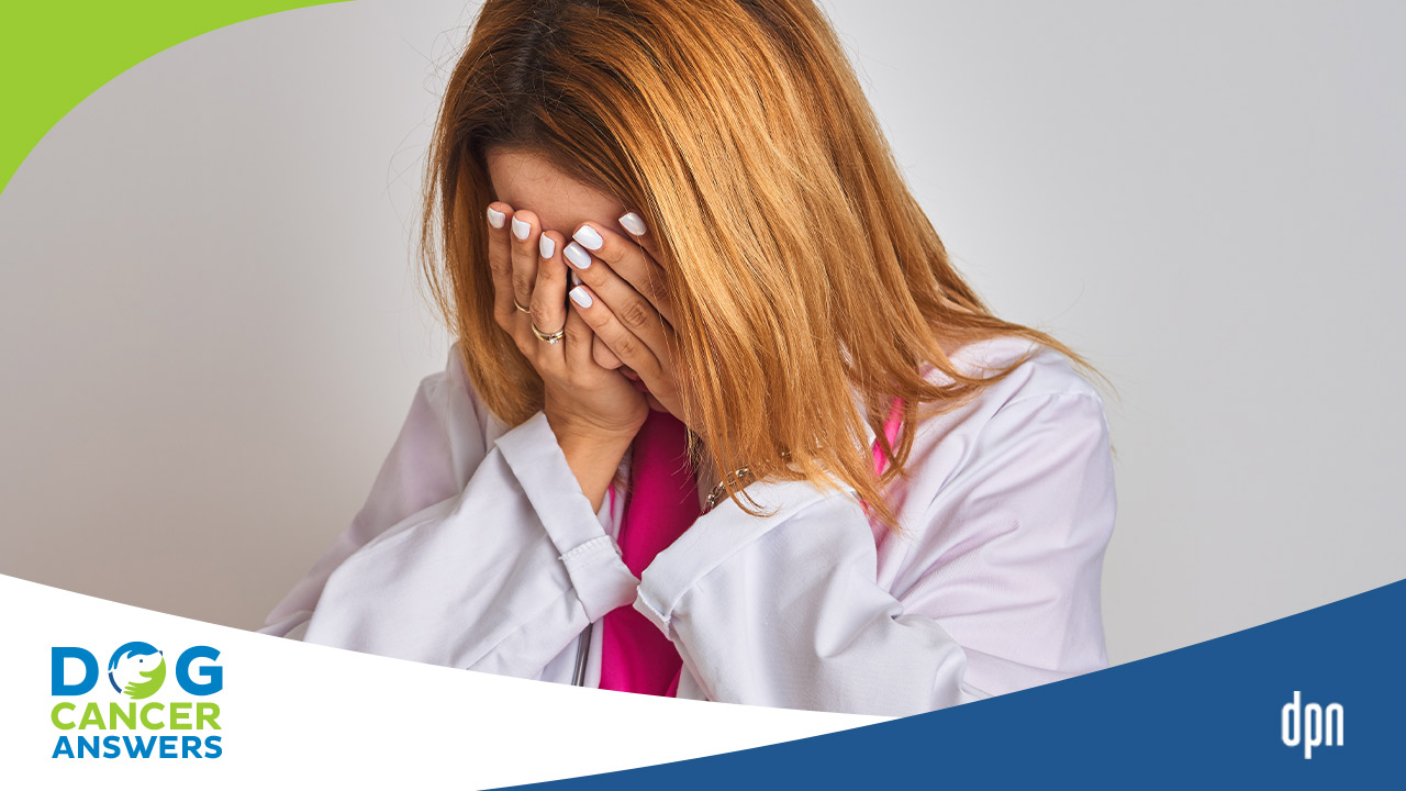 What Is Futile Care in Veterinary Medicine? | Dr. Nathan Peterson