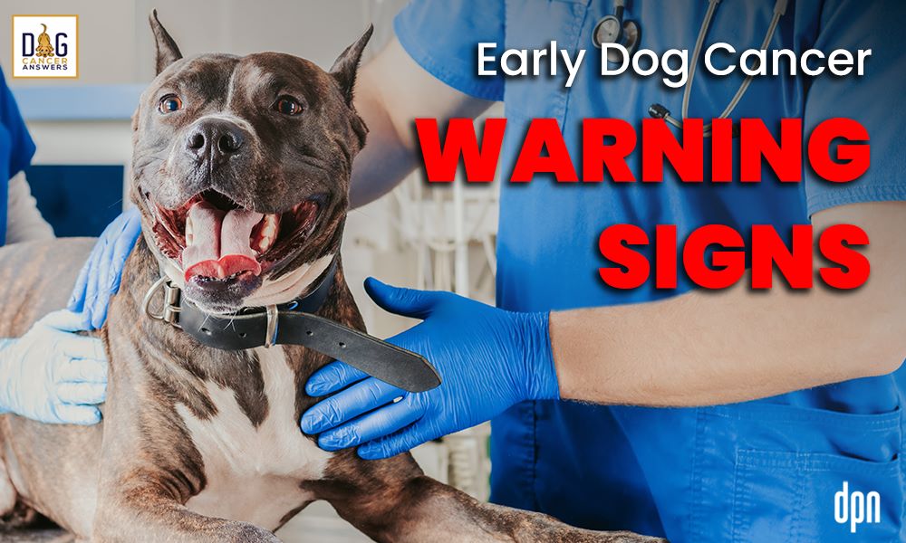 Early Dog Cancer Warning Signs | Dr. David Vail - DogCancer.com