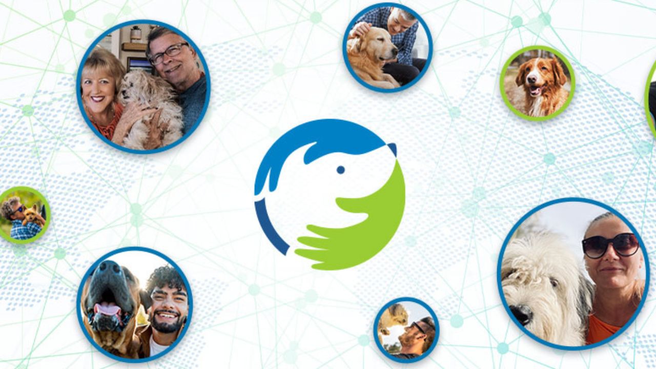 Dog Cancer Support and Grief Groups