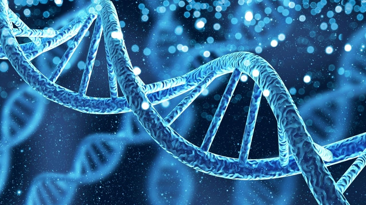 Genetics in Canine Cancer