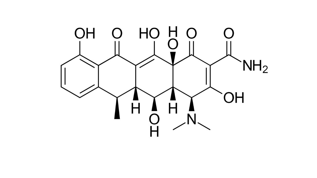 Doxycycline For Dogs