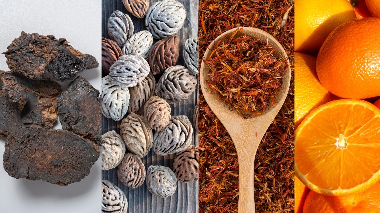 Xue Fu Zhu Yu (XueFu ZhuYu)