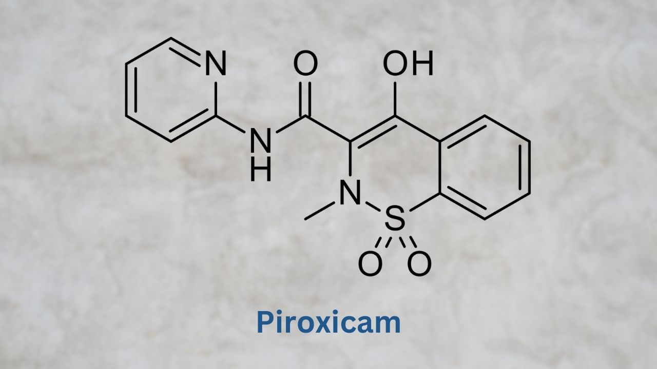 Piroxicam For Dogs
