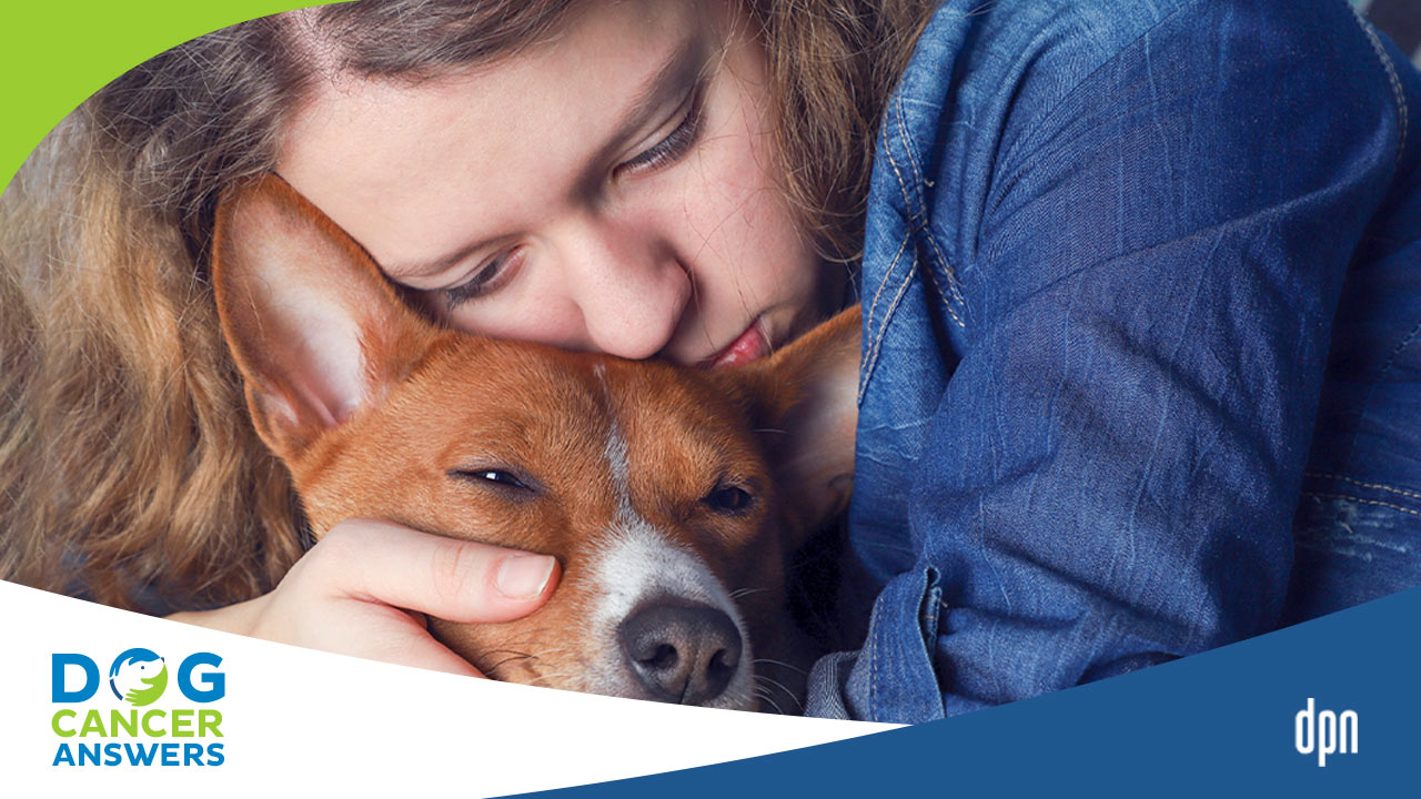 Three Stages of Dying | Molly Jacobson