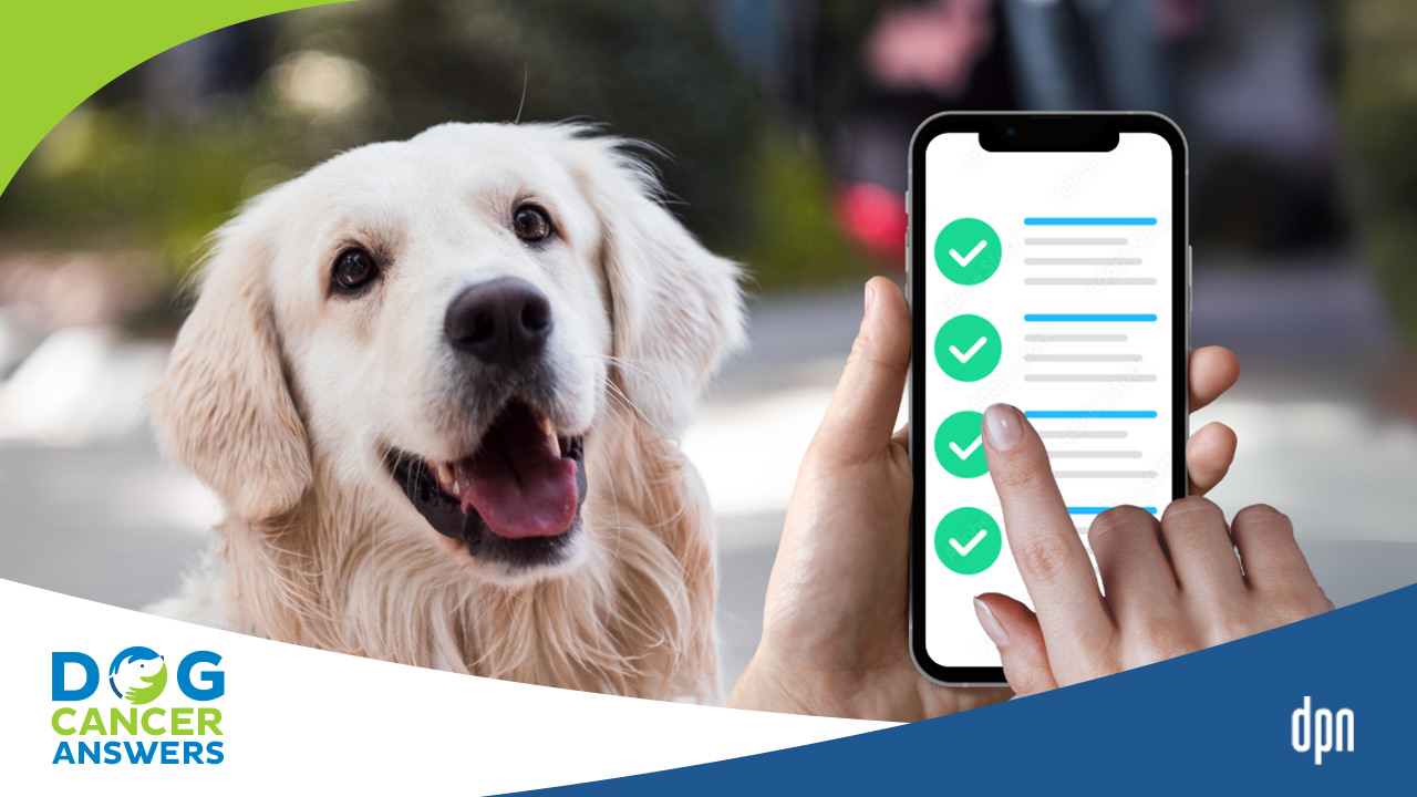 Dog Surgery Pre-Op Checklist for Dog Owners | Kate Basedow, LVT