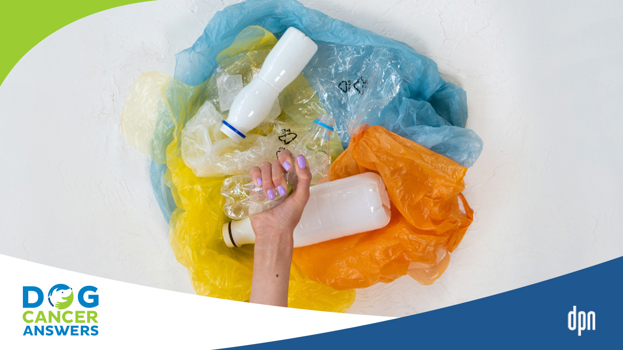 DogCancer.com | Better Information Today. No Regrets Tomorrow.