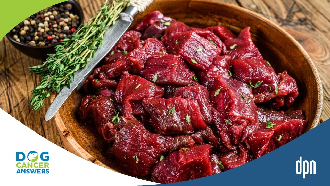 Healthy Meat for Dogs: Venison, the Superfood and Powerful Protein ...